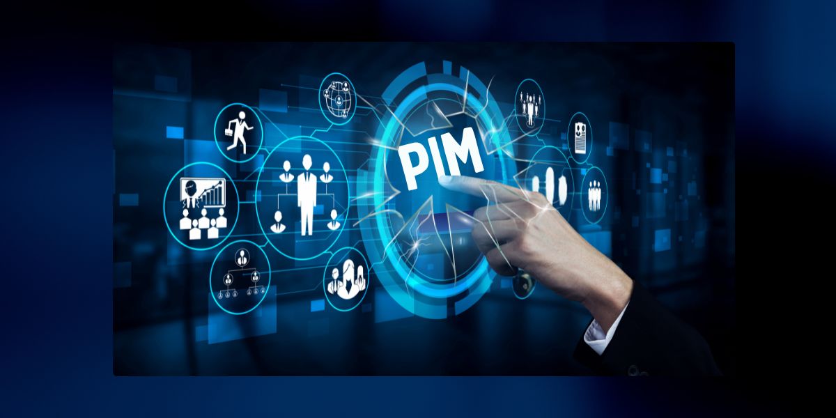 What is PIM & Why is it critical for B2B Business?